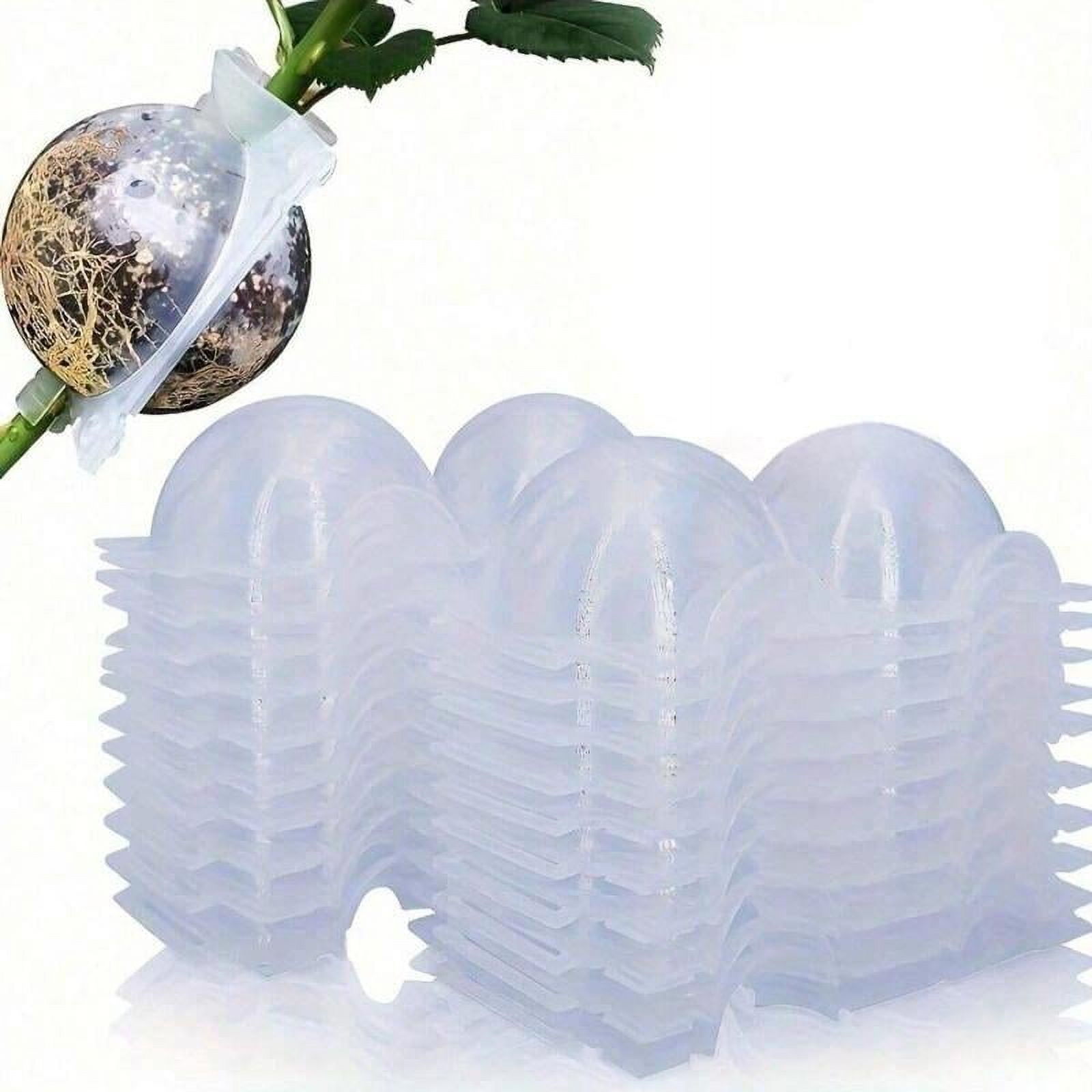 Plant High Pressure Propagation Box, 10pcs/set Cutting Grafting Rooting ...