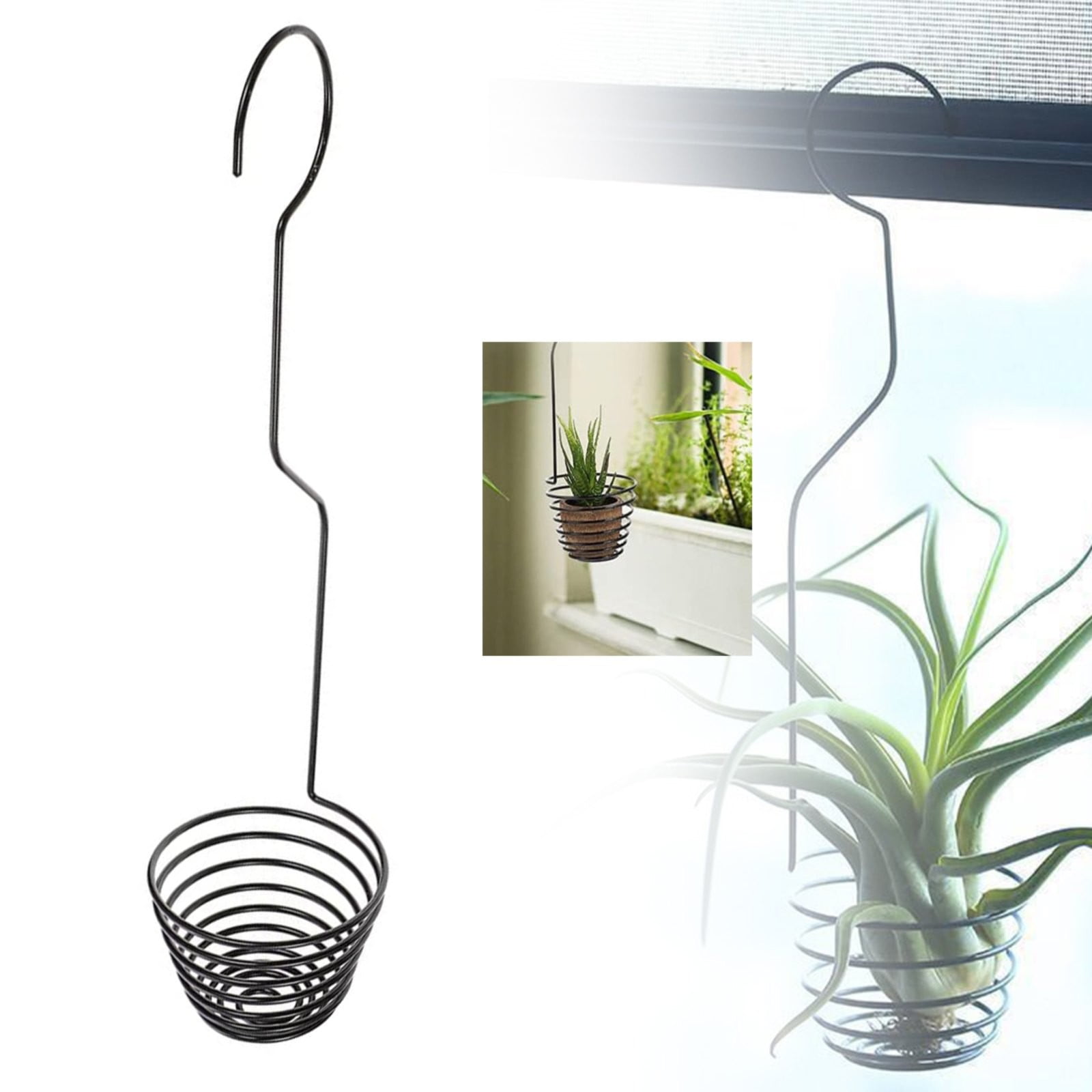 Plant Holder Hook (Air Plant Display, Tillandsia Hanger), Large, Air ...