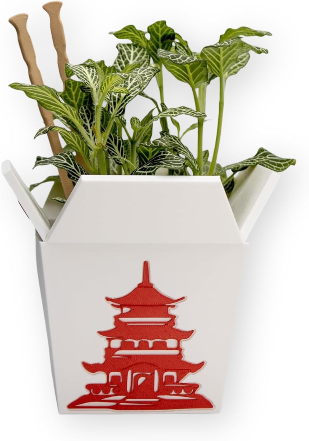 Plant for Indoor Plants, Chinese Take Out Box White Whit Two Chopsticks ...