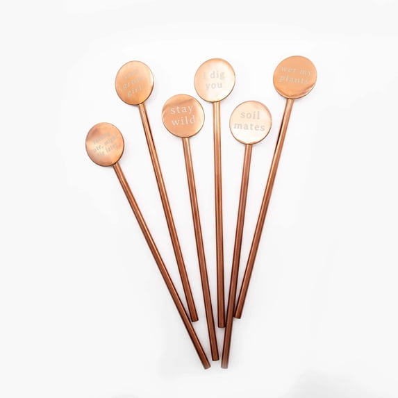 Plant Life Plant Marker Pins | 6 Copper Plant Labels - Walmart.com