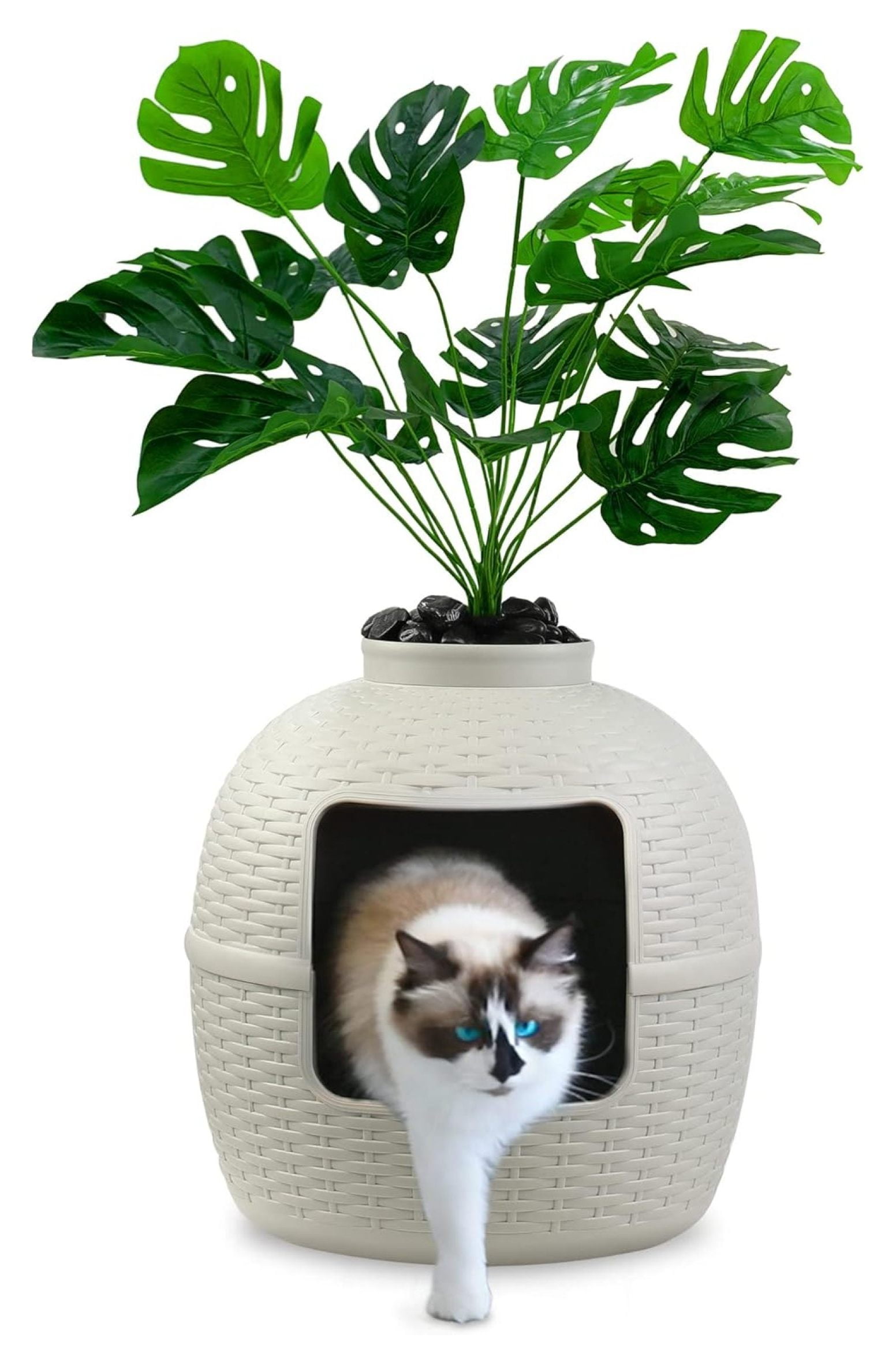 Plant Litter Box with Lid, Cat Litter Furniture with Rattan Pattern for ...
