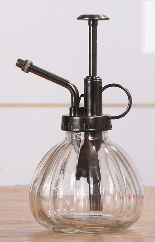 Plant Mister, 6.5" Tall Vintage Style Decorative Glass Water Spray ...