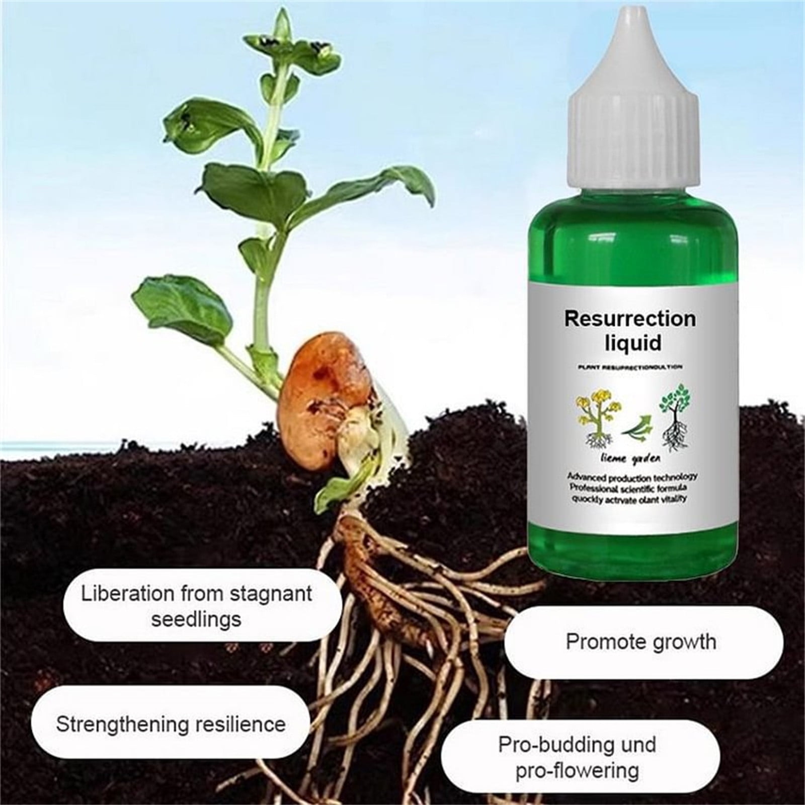 Plant Nutrient Solution - 50ml Garden Plant Plant Nutrient Solution For ...