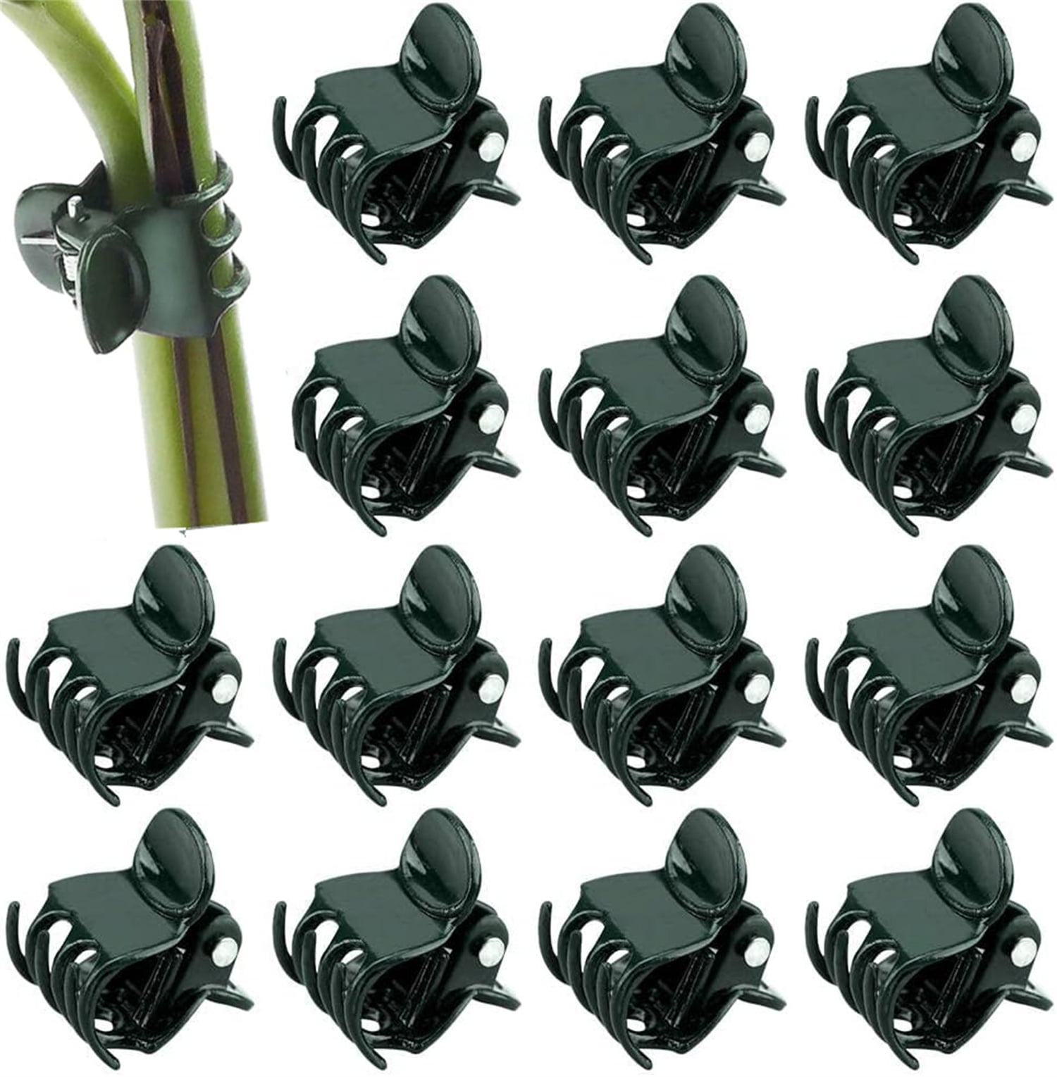 Plant Orchid Clips,Happon 100 Pcs Plant Clips,Green Plant Orchid ...