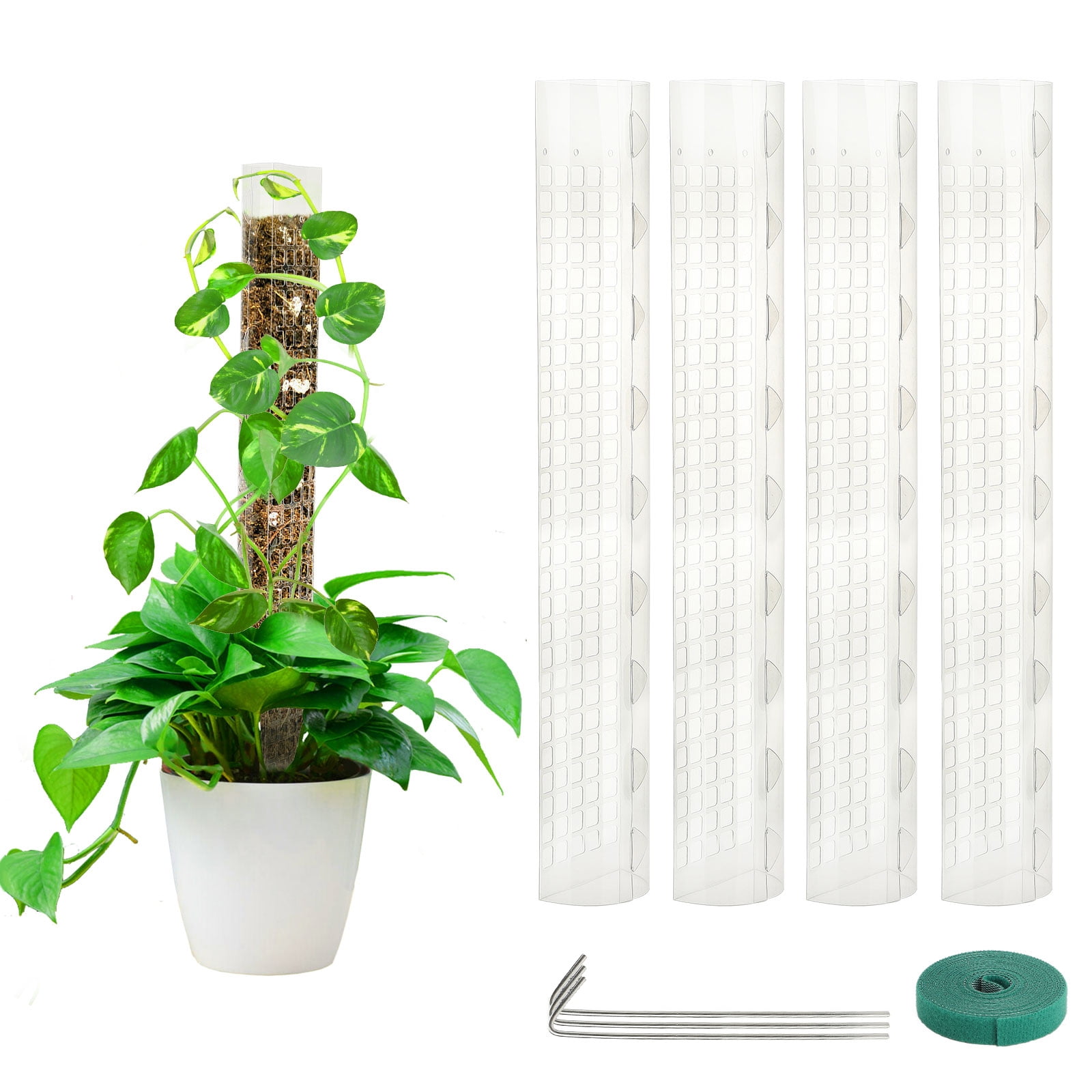 Plant Plastic Moss Pole Moss Supports Climbing Plant Poles Tortoise ...