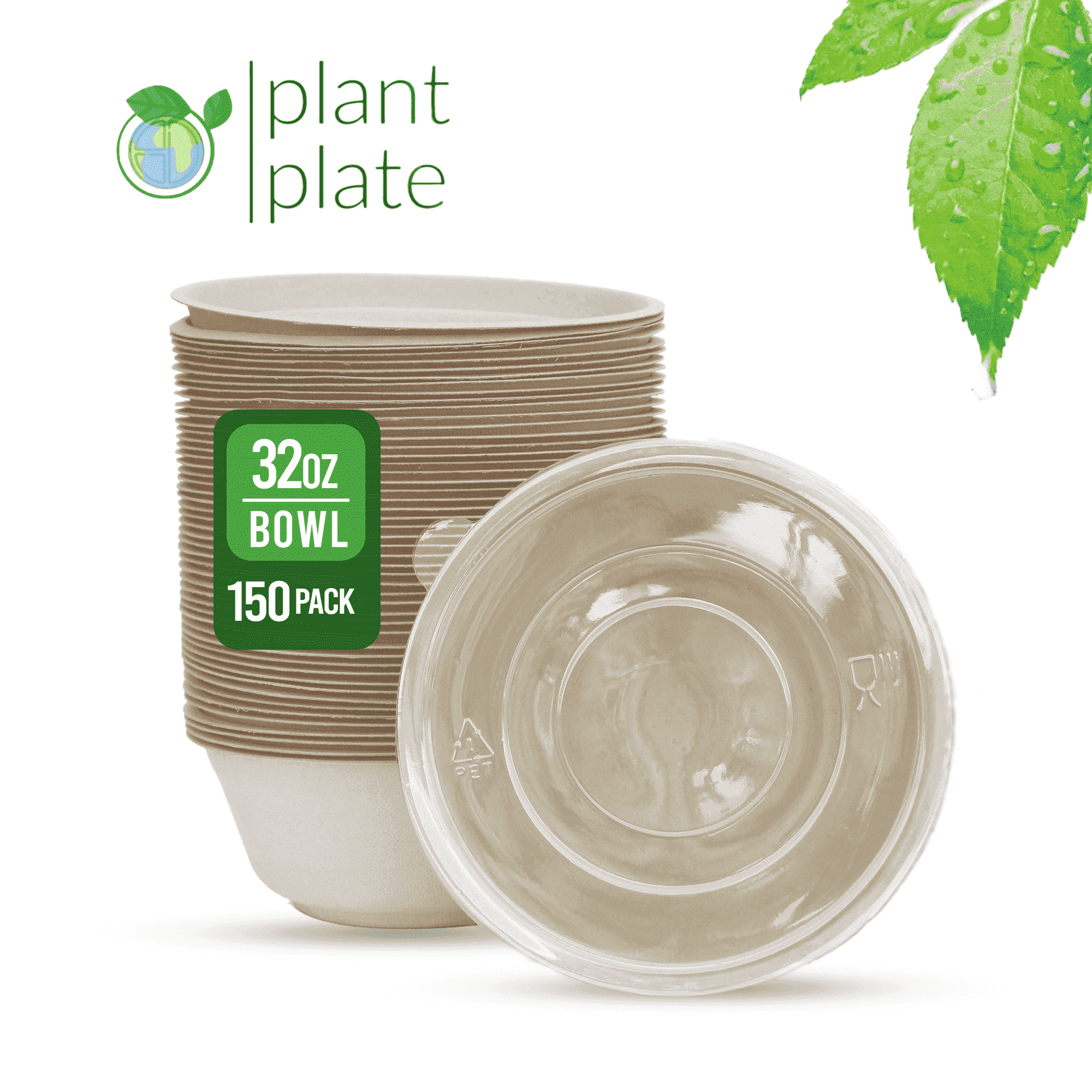 Plant Plate Biodegradable Compostable Sugarcane Bagasse Disposable ...