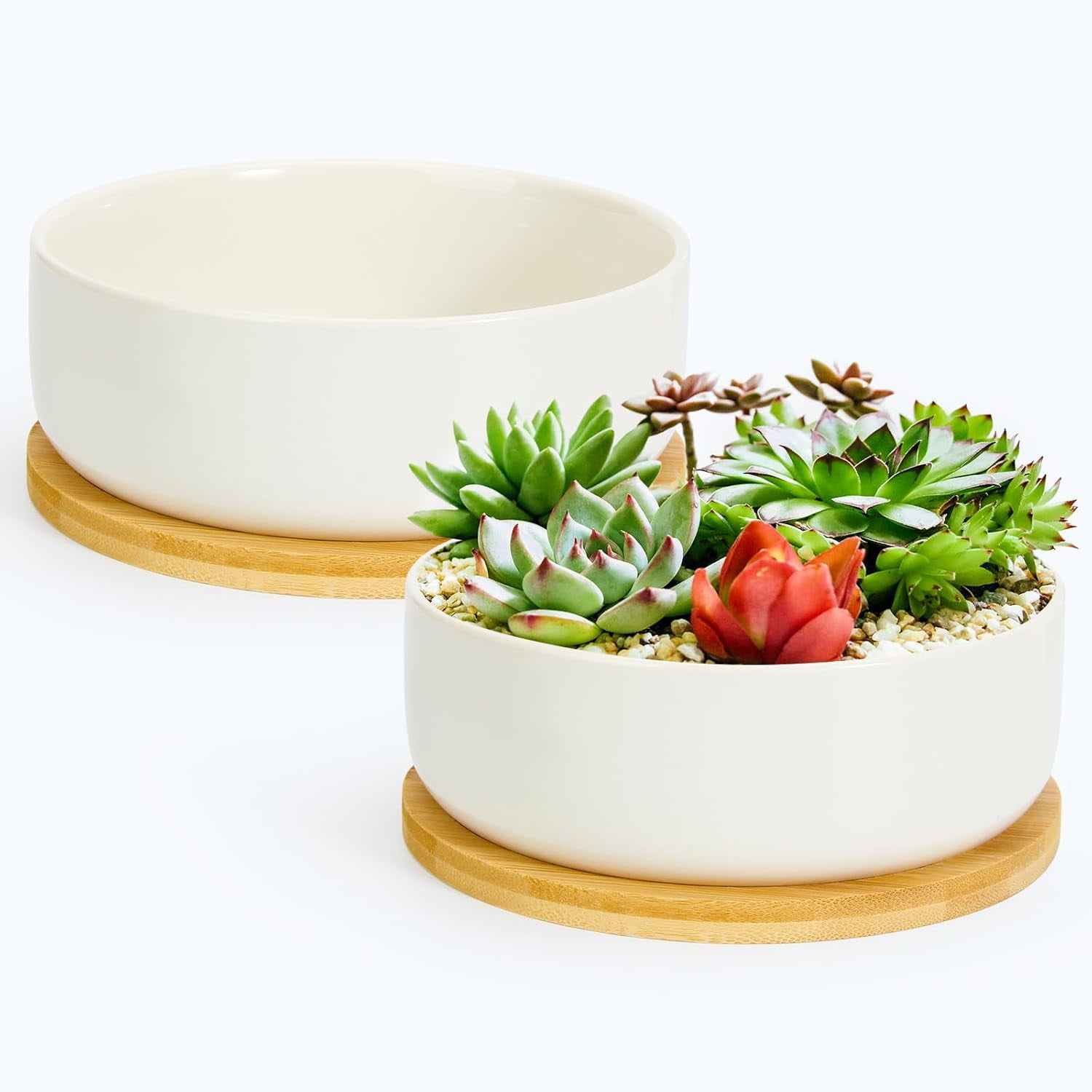 Plant Pot 6 Inch, Ceramic Succulent Pots for Flower with Drainage Hole ...