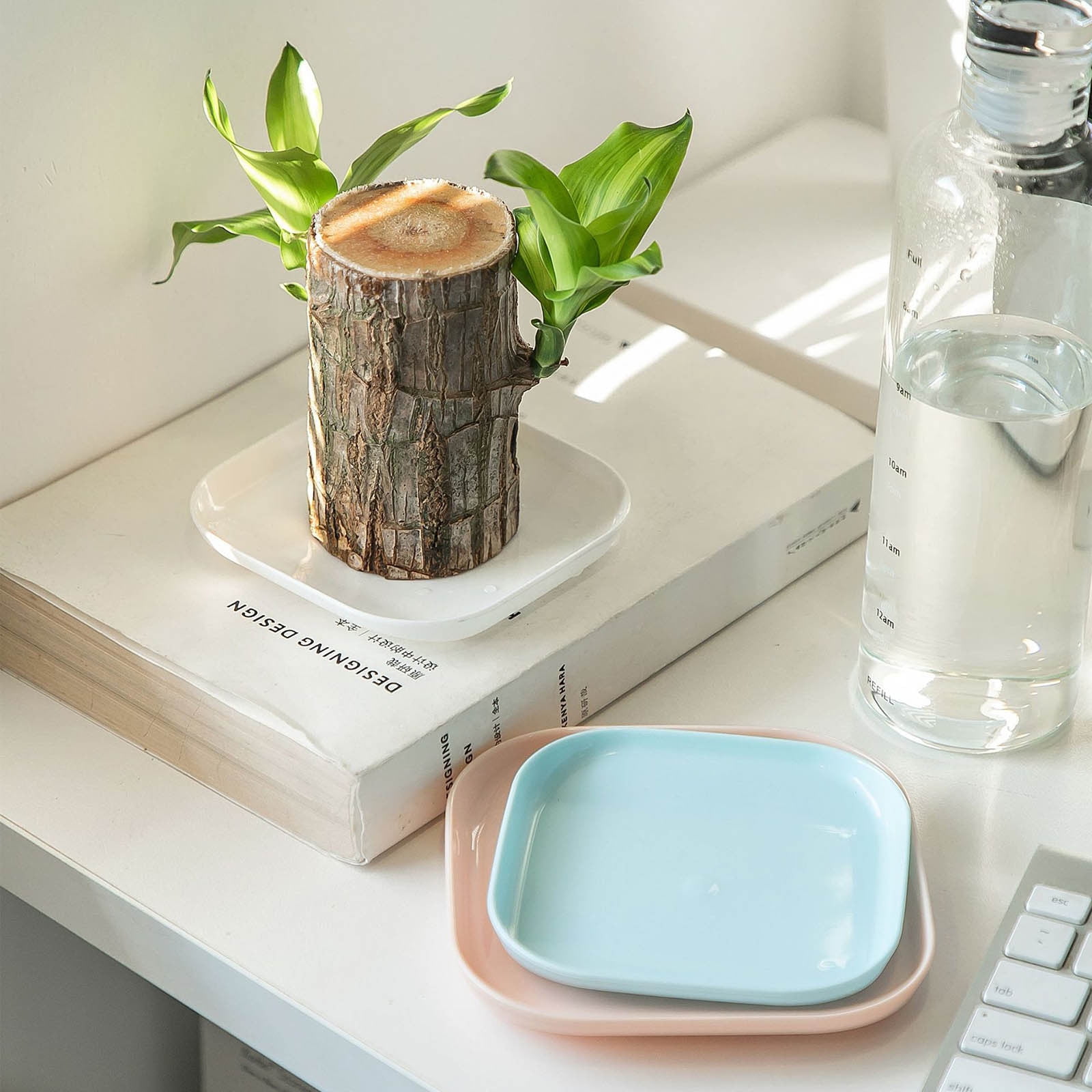 Plant Pot Saucers,Plant Saucer,Brazilian Wood Pallet Plastic Saucer ...