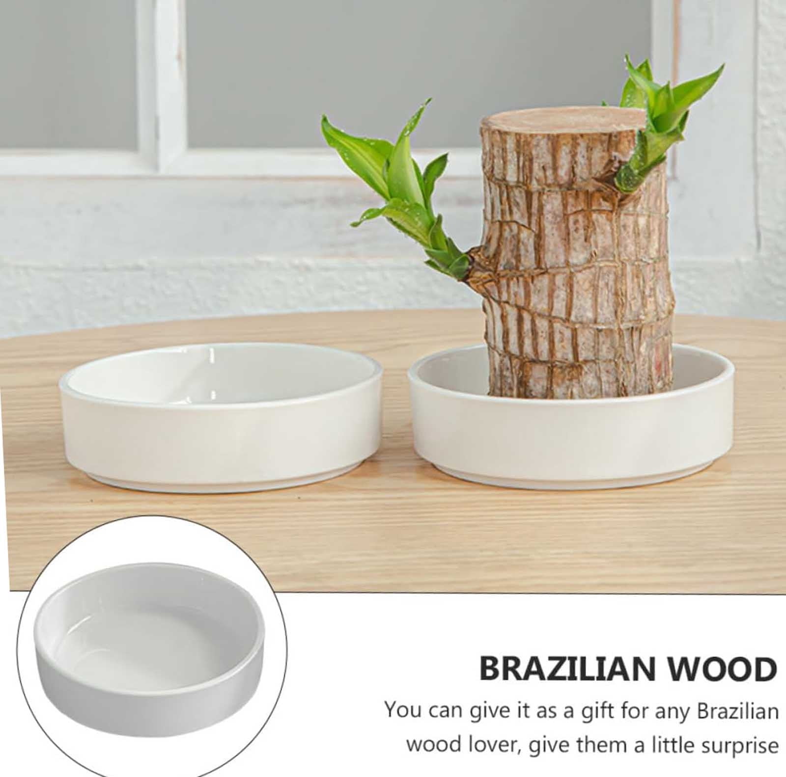 Plant Pot Saucers,Plant Saucer,Brazilian Wood Pallet White Ceramic ...
