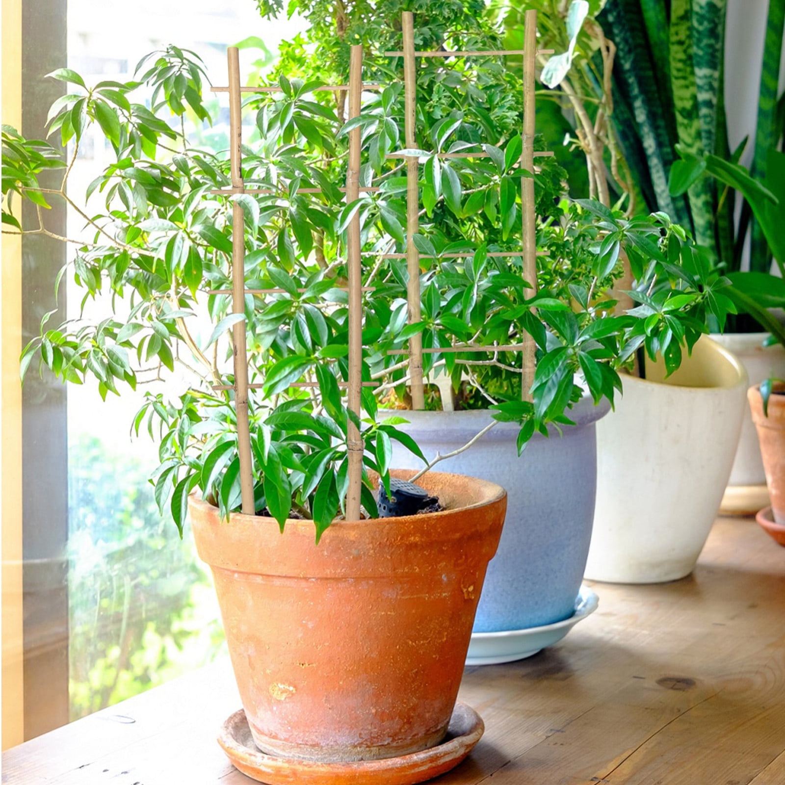 Plant Pot Trellises Wooden Plant Cages & Supports, Sturdy Tomato Cages ...