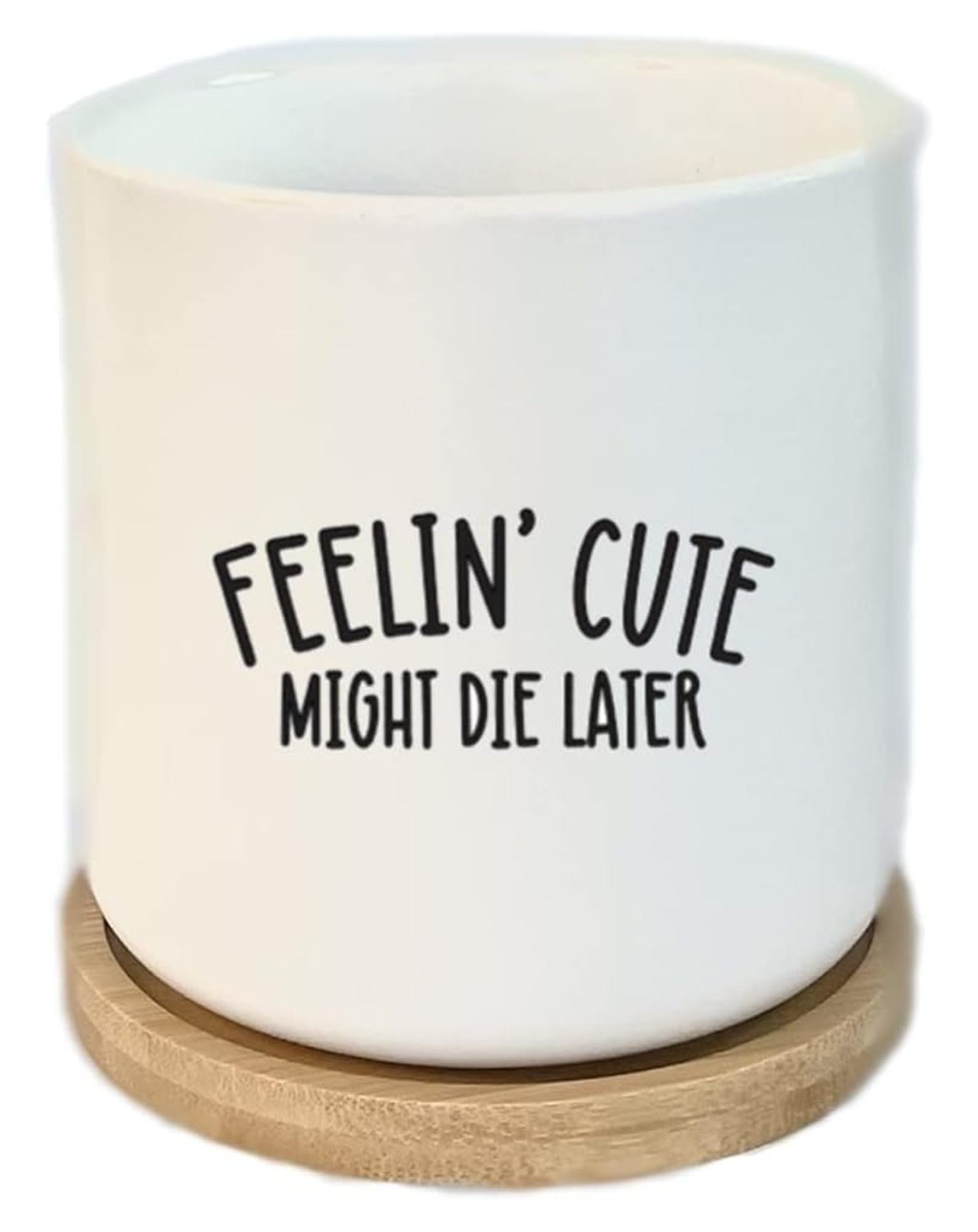 Plant Pot with Funny Saying: Feelin' Cute Might Die Later Feeling Cute ...