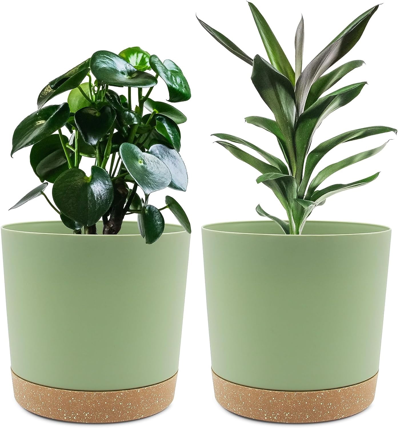 Plant Pots 8 inch,Planters for Indoor Plants with Drainage Holes and ...