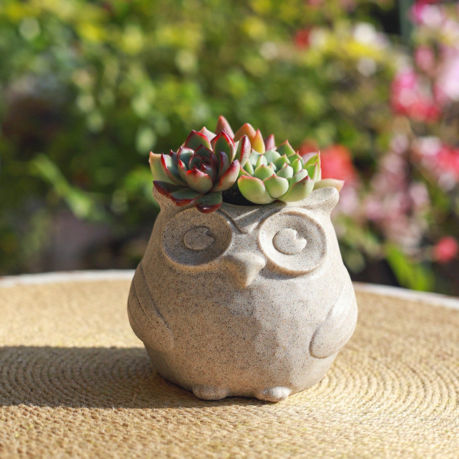 Plant Pots Animals Shaped Resin Succulent Pots Planter Cute Plant Pots ...