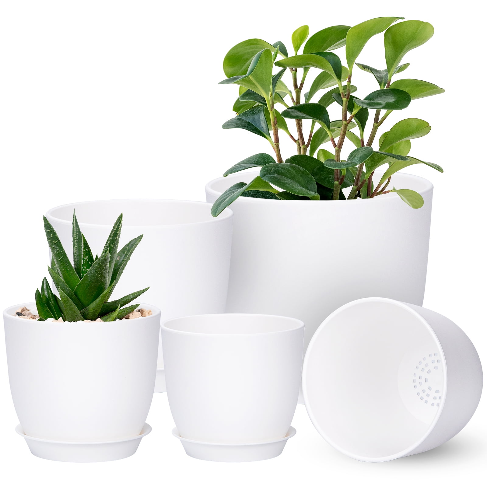 Plant Pots with Drainage - 7/6.3/5.5/5/4.5 Inches Home Decor Flower ...