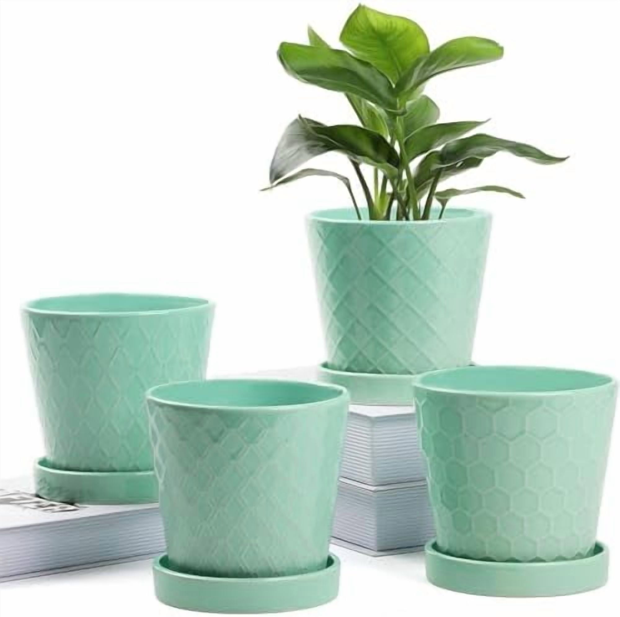 Plant Pots Indoor –5 in Ceramic Flower Pot with Drainage Hole and ...