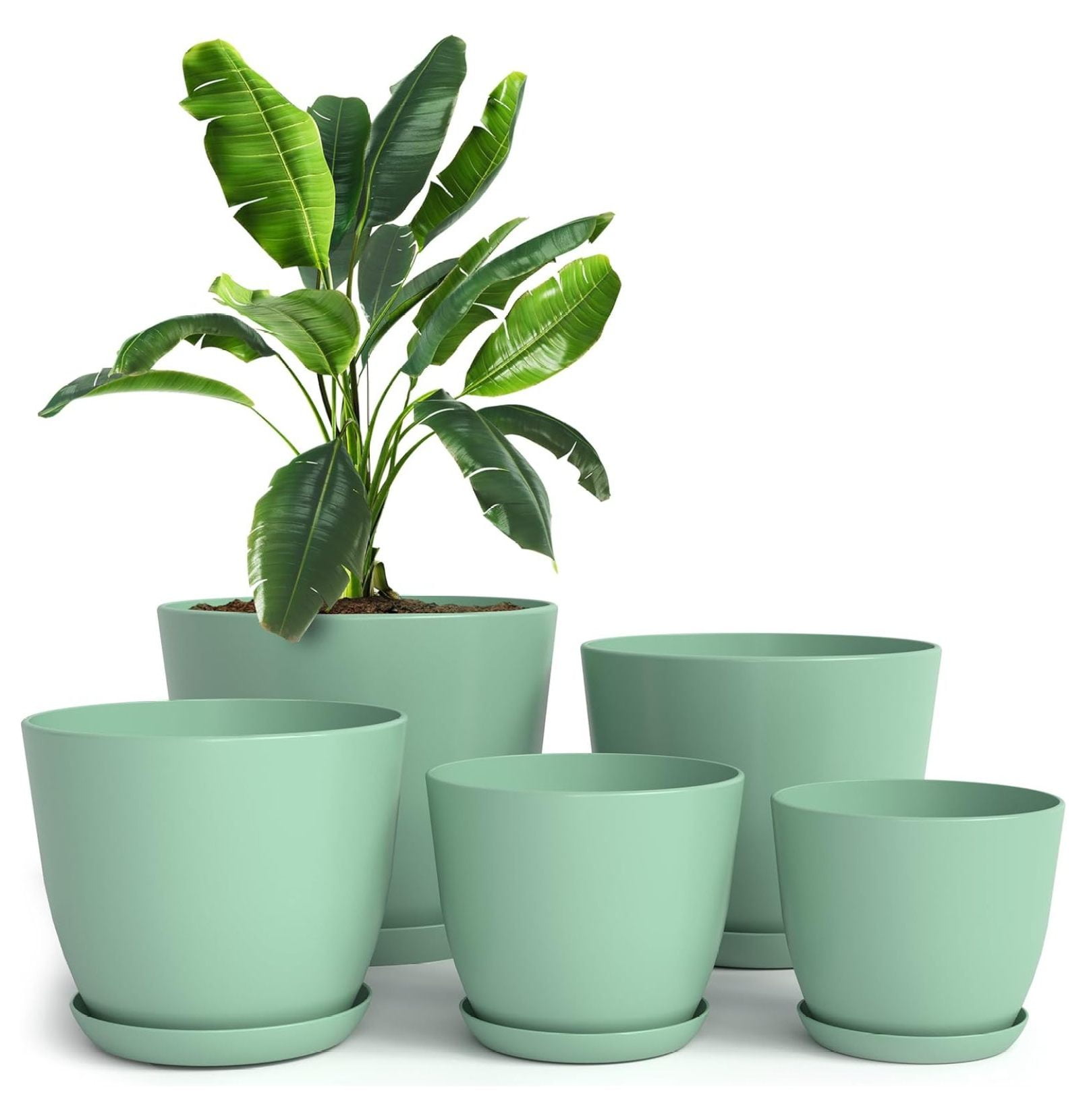 - Plant Pots Indoor with Drainage - 7/6.6/6/5.3/4.8 Inches Home Decor ...