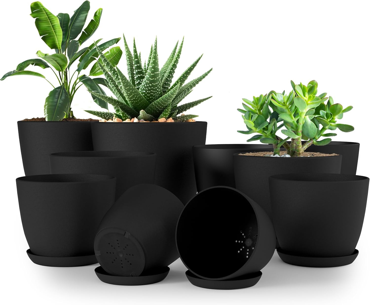- Plant Pots Indoor with Drainage - 7/6.6/6/5.3/4.8 Inches Home Decor ...