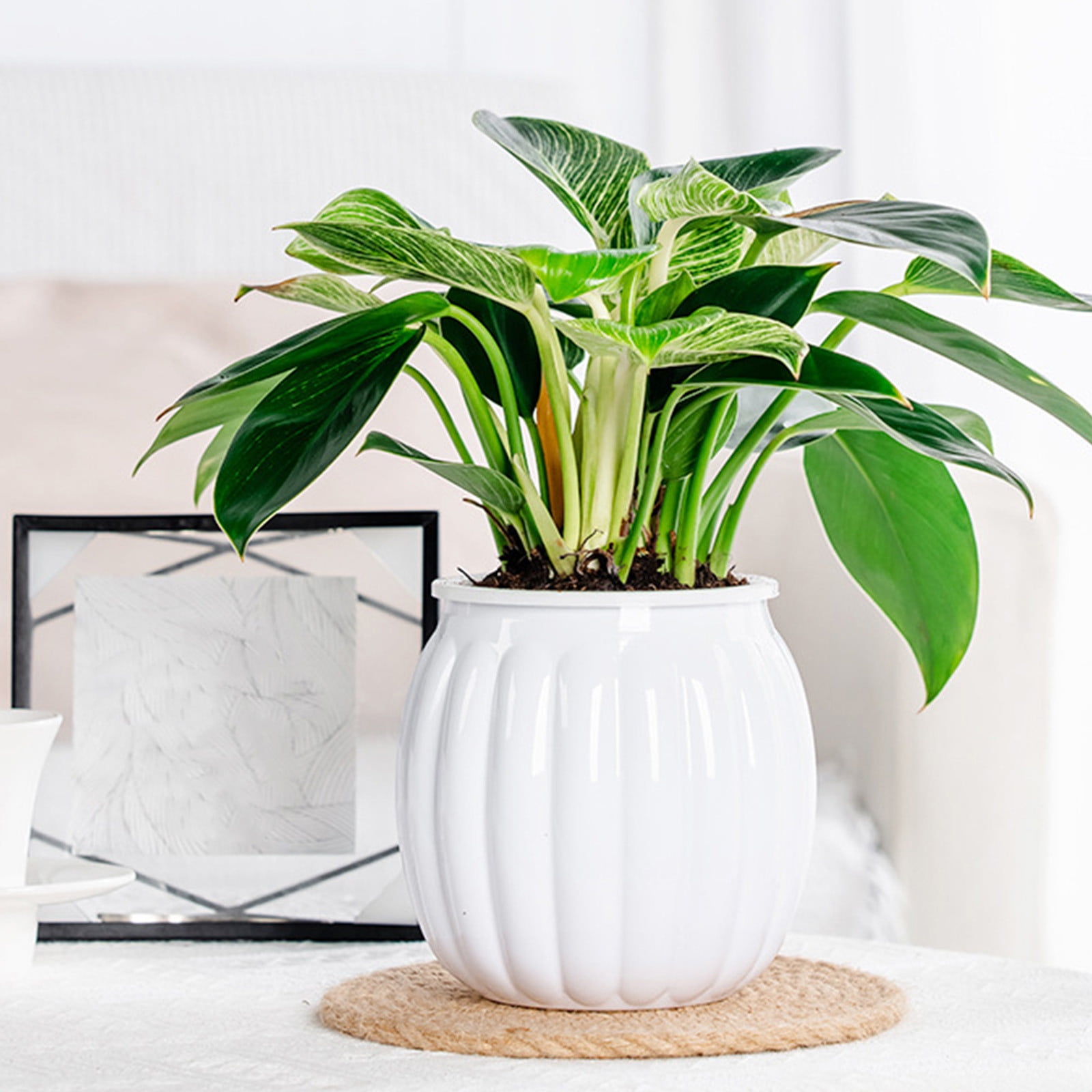Plant Pots Indoor, Small Plant Pots, Self Watering Pots, White Flower ...
