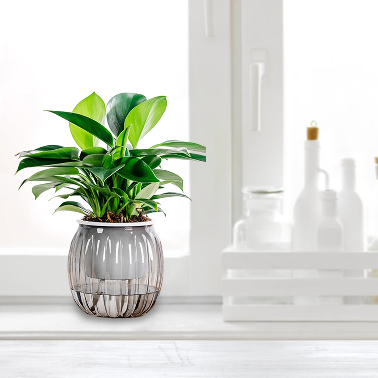 Plant Pots Indoor, Small Plant Pots, Self Watering Pots, Clear Flower ...