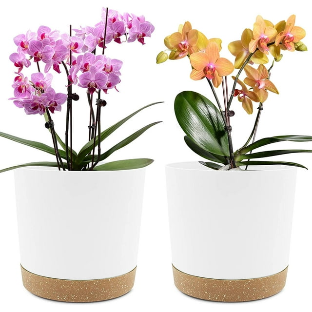 Plant Pots Set of 2 Pack 8 inch,Planters for Indoor Plants with ...