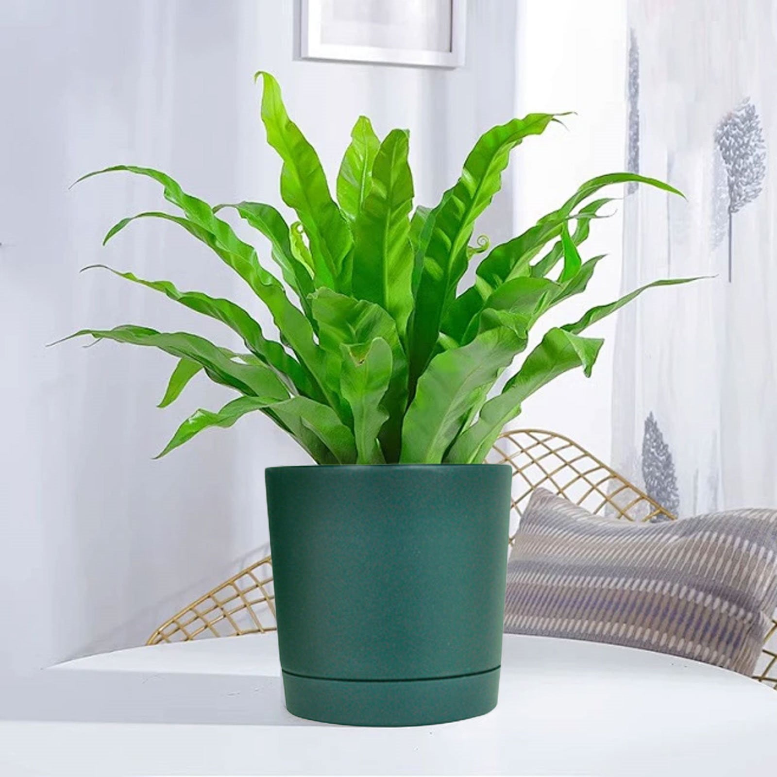 Plant Pots Set Of For Indoor Plants With Holes And Removable Base ...