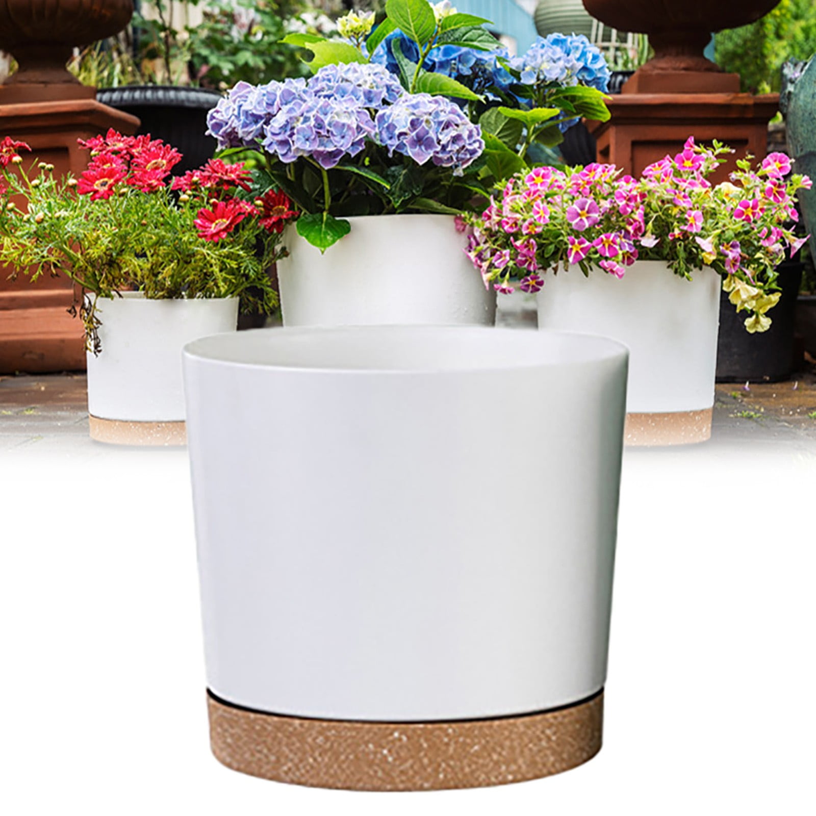 Plant Pots, Succulent Pots, Plastic Planters with Drainage Holes and ...