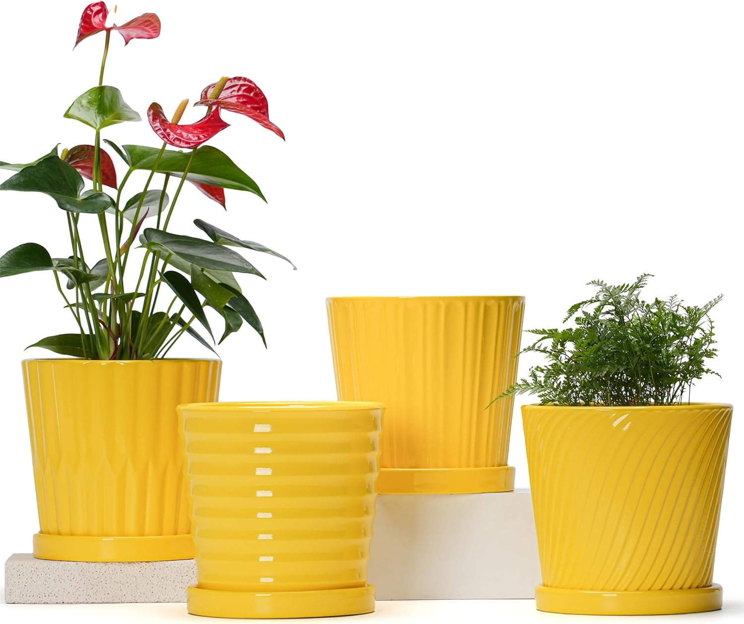 Plant Pots,White 6 Inch Flower Pots for Plants,Ceramic Planter with ...