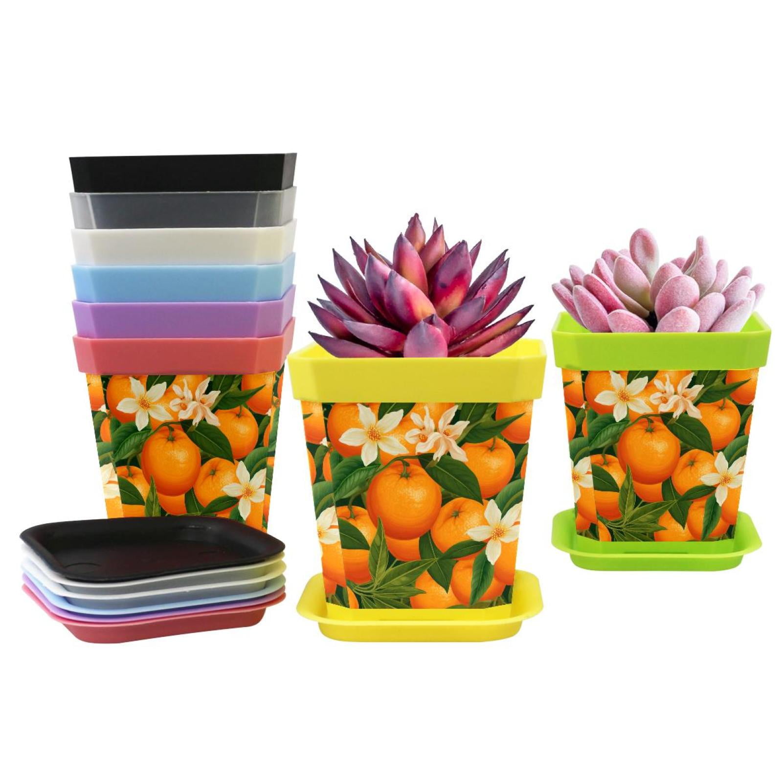 Plant Pots with Drainage - Home Decor Flower Pots for Indoor Planter ...