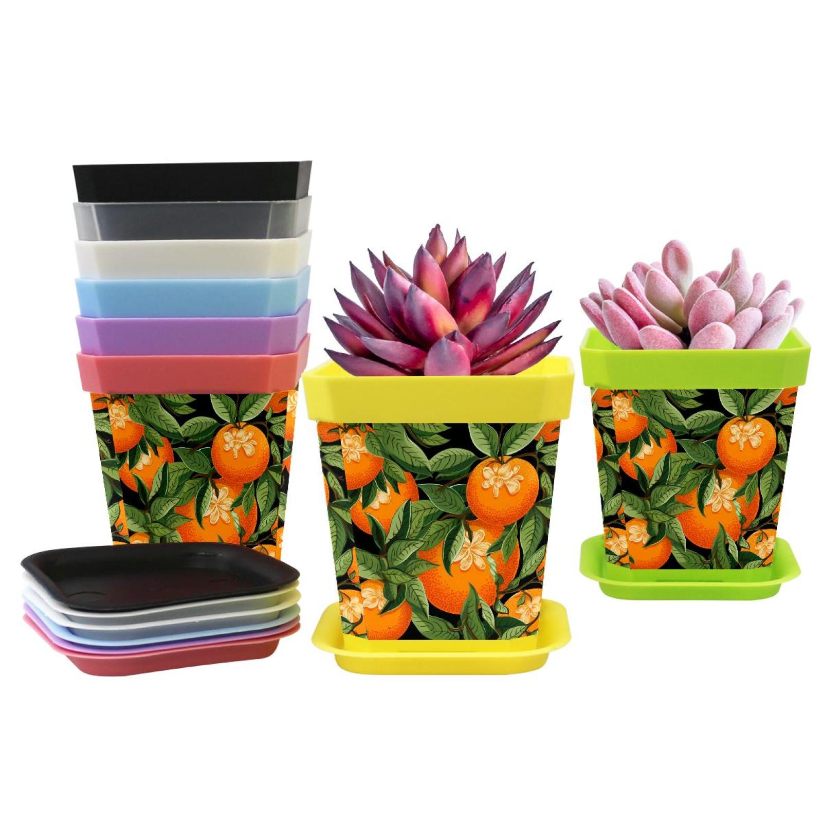 Plant Pots with Drainage - Home Decor Flower Pots for Indoor Planter ...