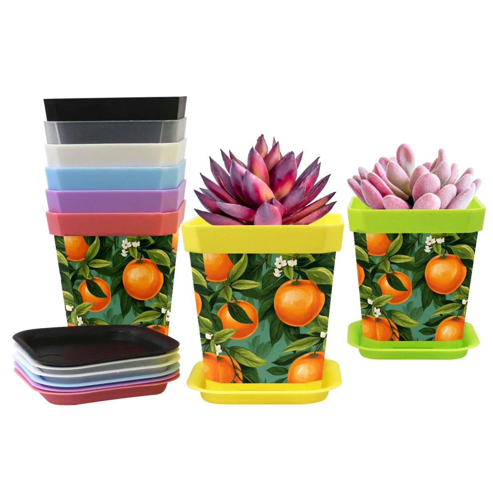 Plant Pots with Drainage - Home Decor Flower Pots for Indoor Planter ...