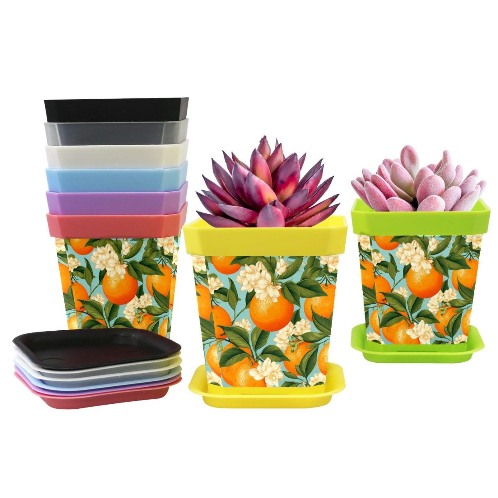 Plant Pots with Drainage - Home Decor Flower Pots for Indoor Planter ...