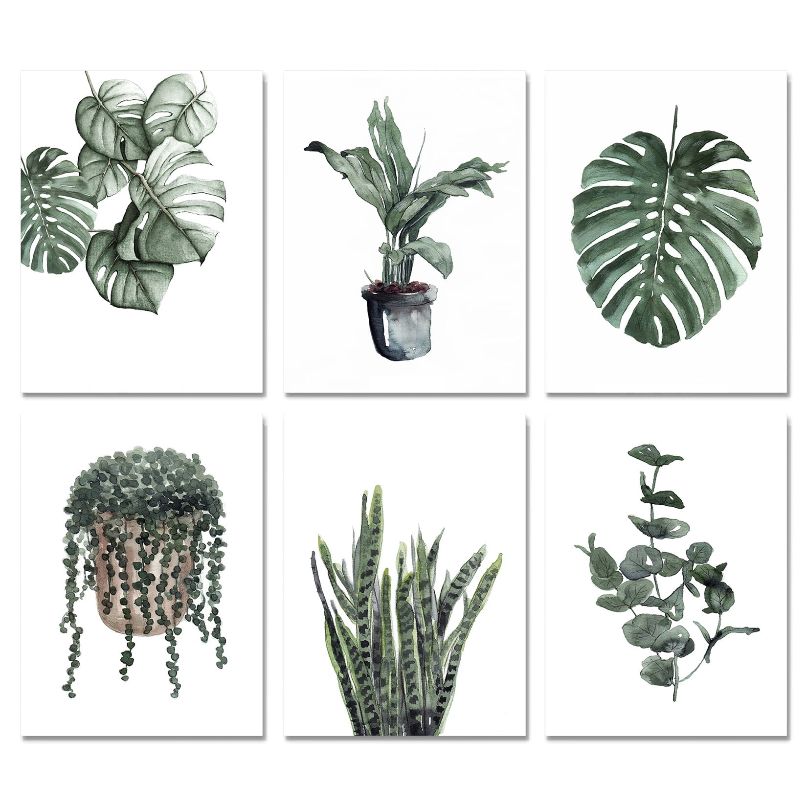 Plant Prints 8x10 Canvas Prints Unframed Poster Set of 6, Boho Wall Art ...