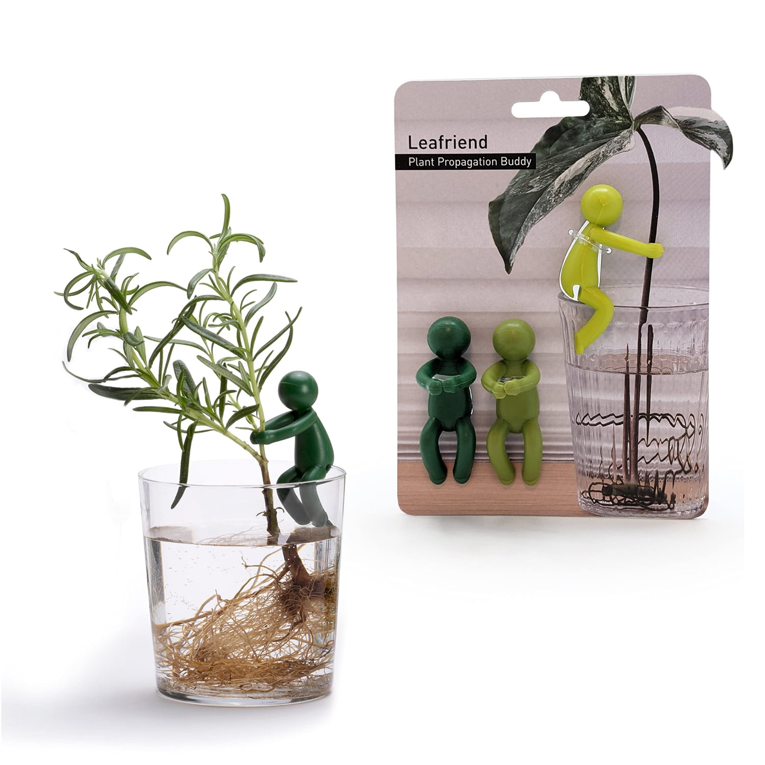 Plant Propagation Buddies - 3 Cute Supports for Sprouts, Stems, Shoots ...
