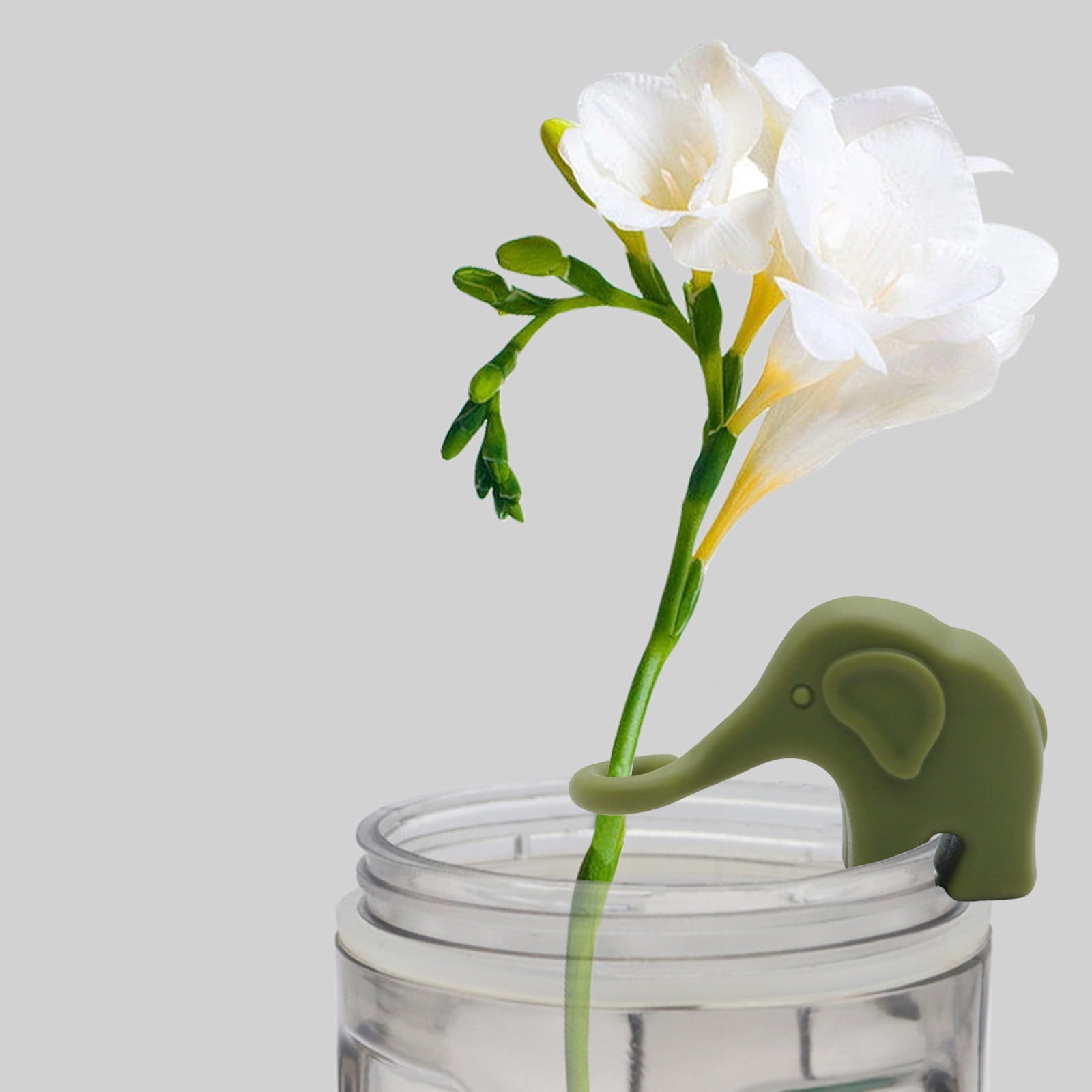 Plant Propagation Buddy, Plant Breeding Friend, Cute Cutting Holder ...