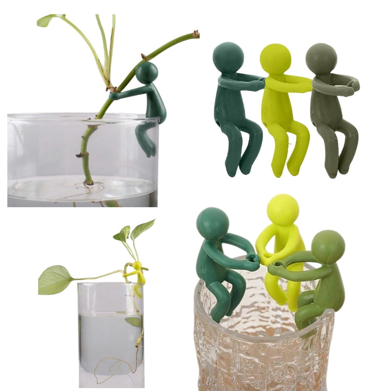 Plant Propagation Holder, These Supports Are Perfect for Sprouts, Stems ...