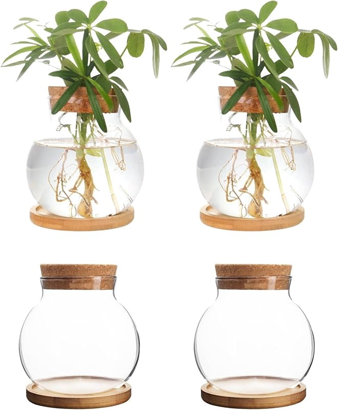Plant Propagation Station,Hydroponic Glass Container Vase Jars, with ...
