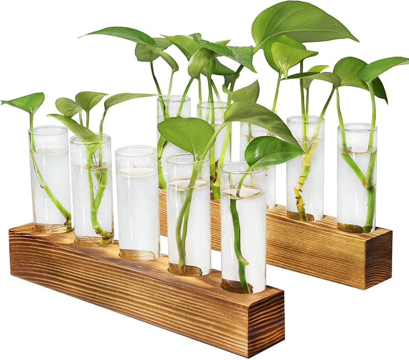 Plant Propagation Station, Plant Terrarium with Wooden Stand, Plant ...
