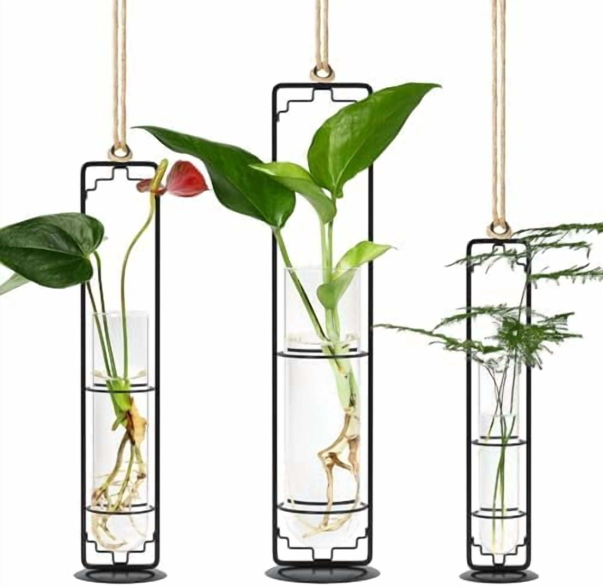 Plant Propagation Stations,Hanging Glass Propagation Test Tube Vases ...