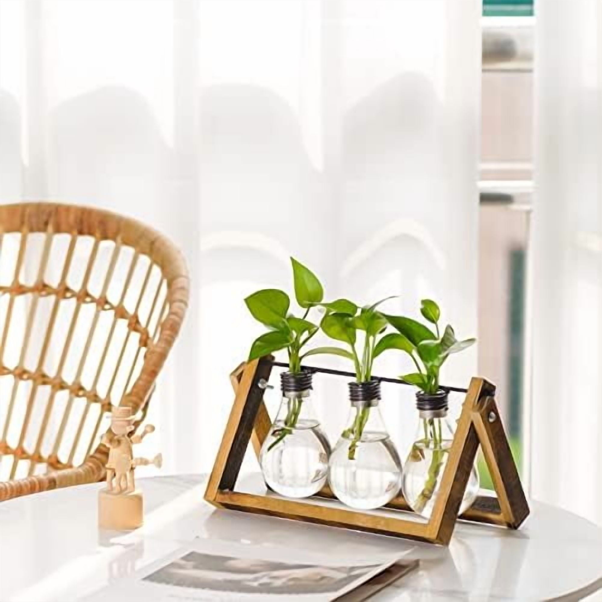 Plant Propagation Stations with Wooden Stand, Desktop Plant Terrarium ...