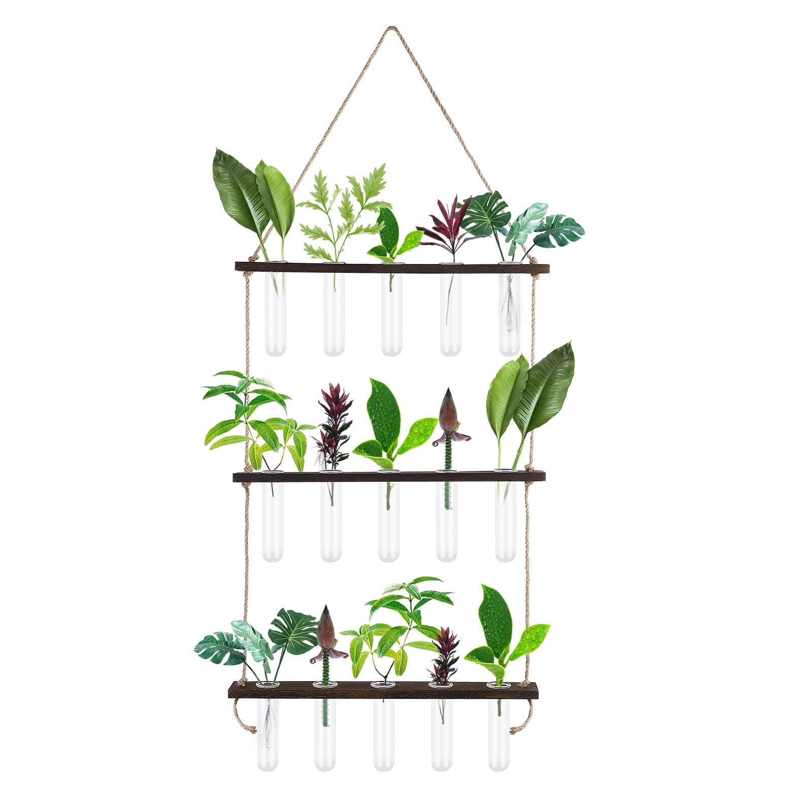Plant Propagation Tubes 3 Tiered Wall Hanging Terrarium With Wooden ...