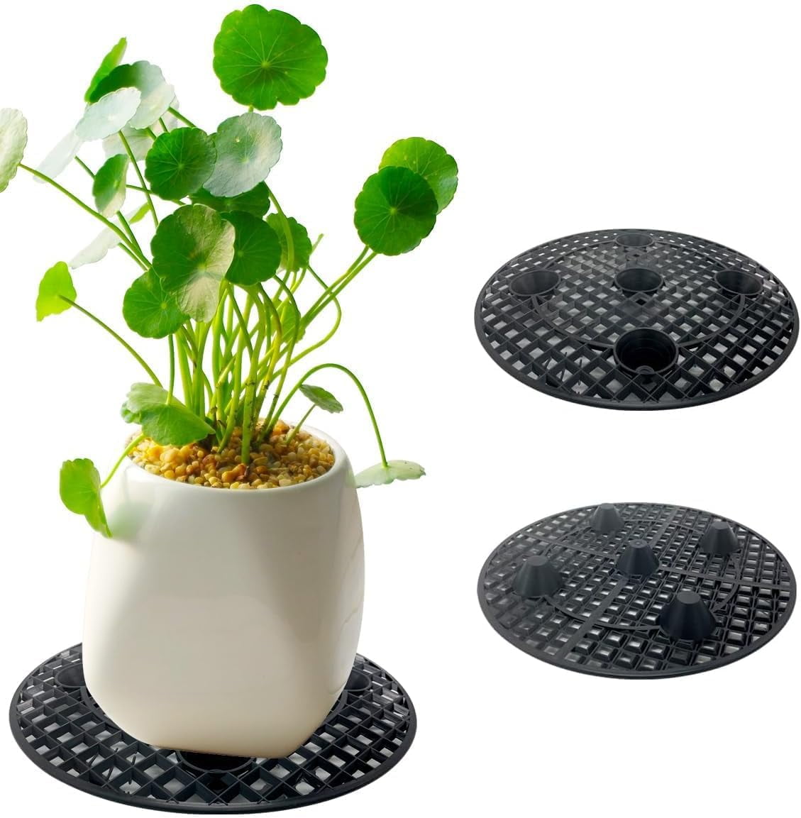 Plant Risers for Pots Indoor, Plant Stands, Pack Plant Elevator for ...