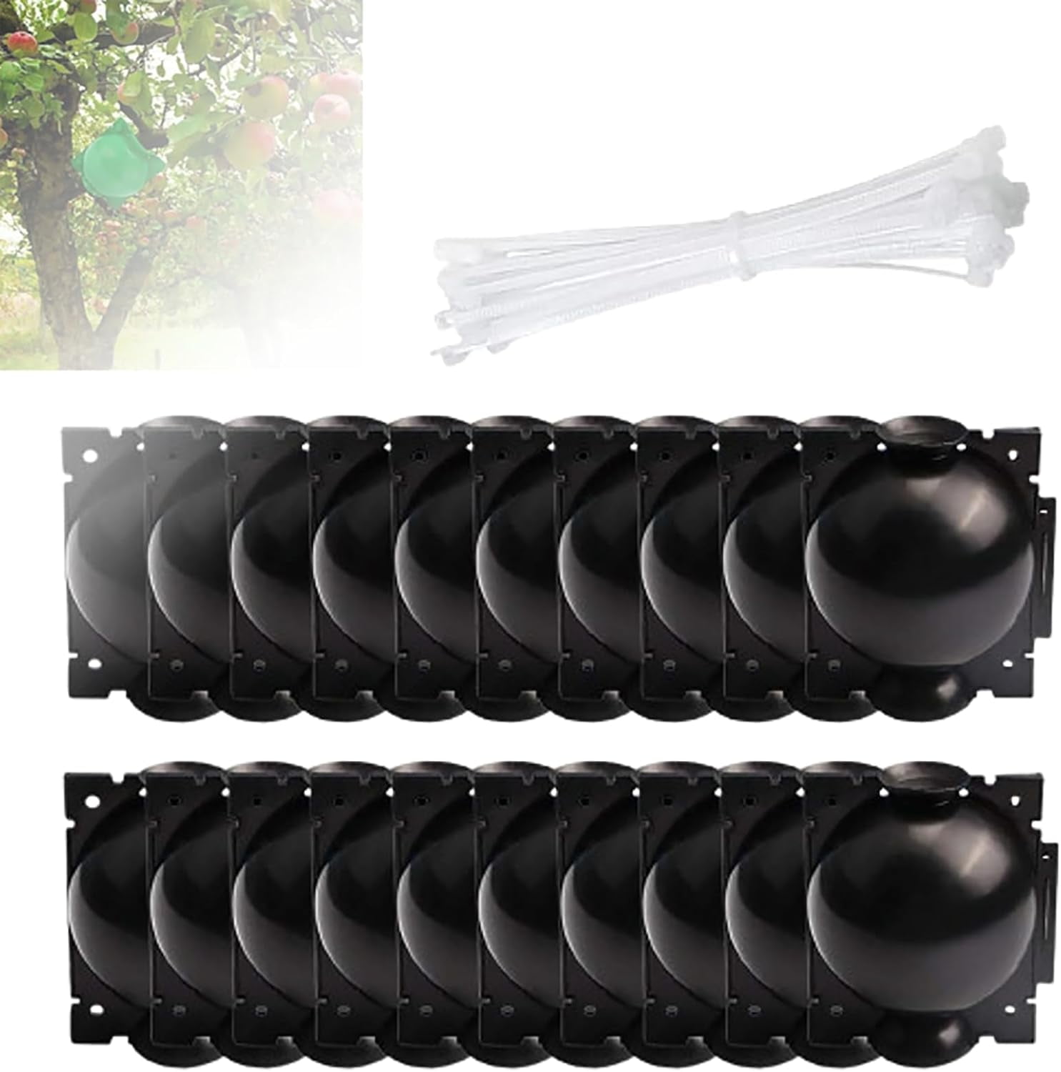 Plant Root Growing Box, Propagation Stations Air Layering Pods Rooting ...