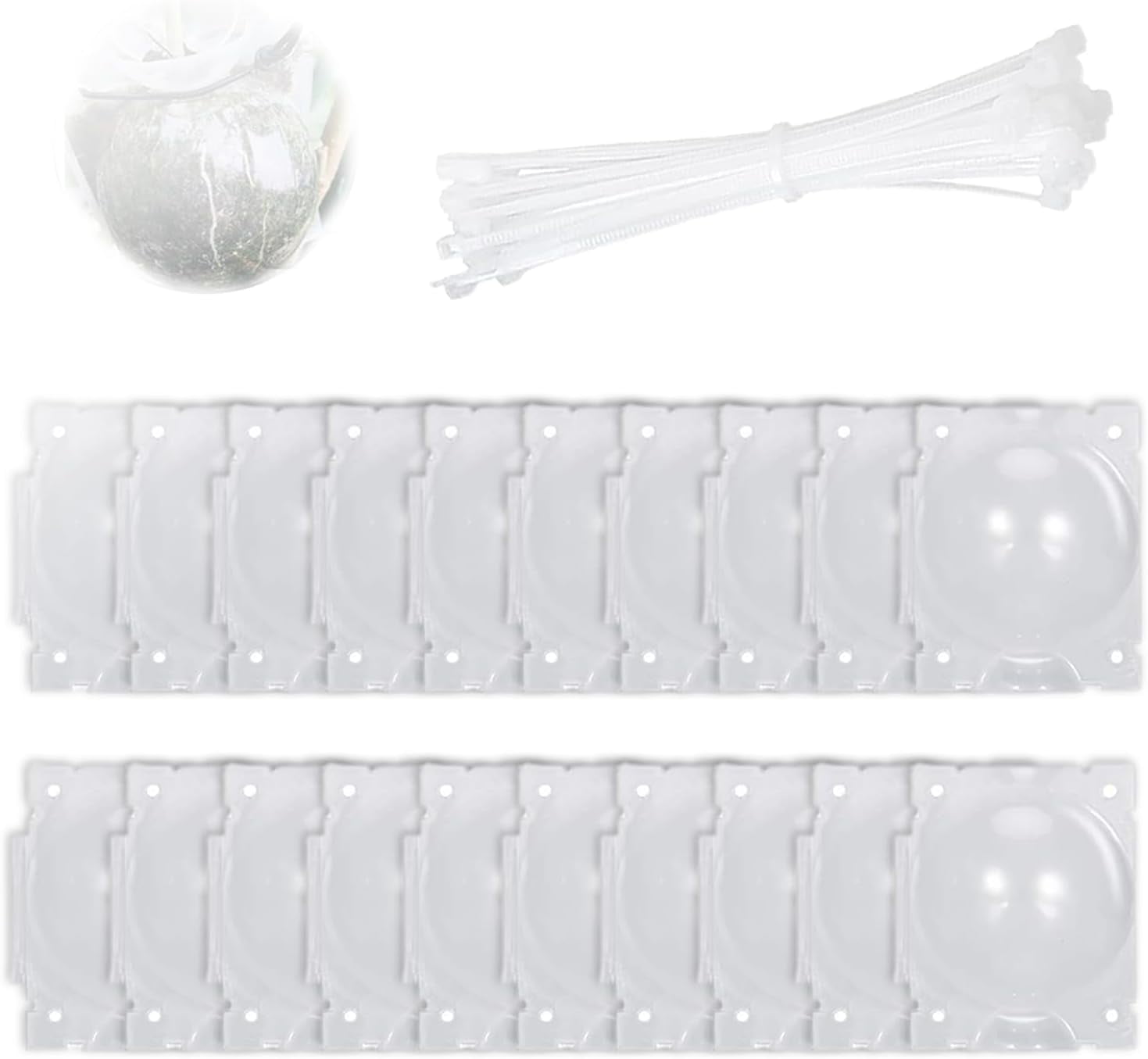 Plant Root Growing Box, Propagation Stations Air Layering Pods Rooting ...