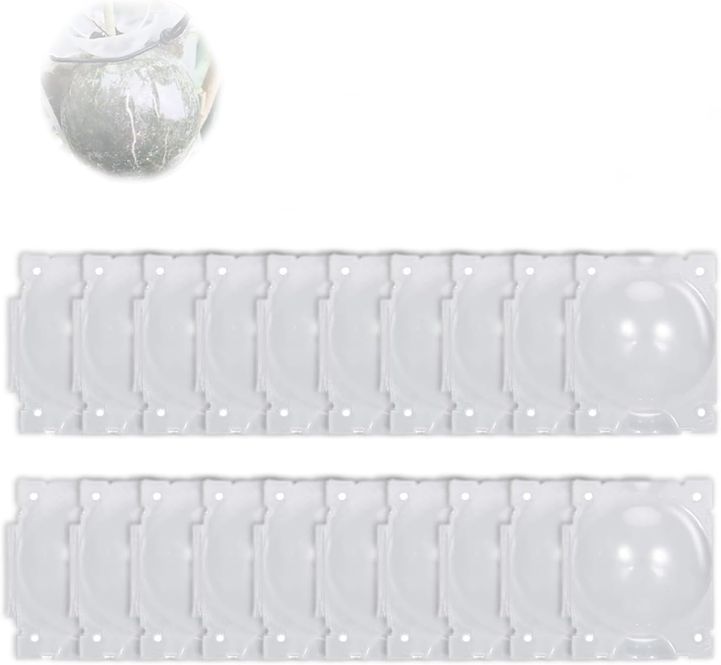 Plant Root Growing Box, Propagation Stations Air Layering Pods Rooting ...