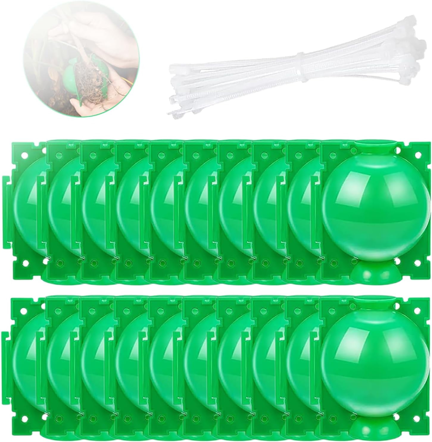 Plant Root Growing Box, Propagation Stations Air Layering Pods Rooting ...