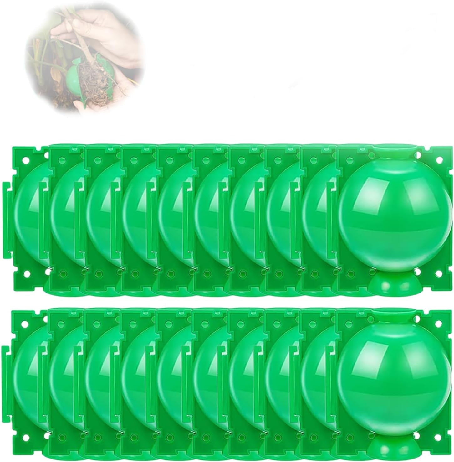 Plant Root Growing Box, Propagation Stations Air Layering Pods Rooting ...