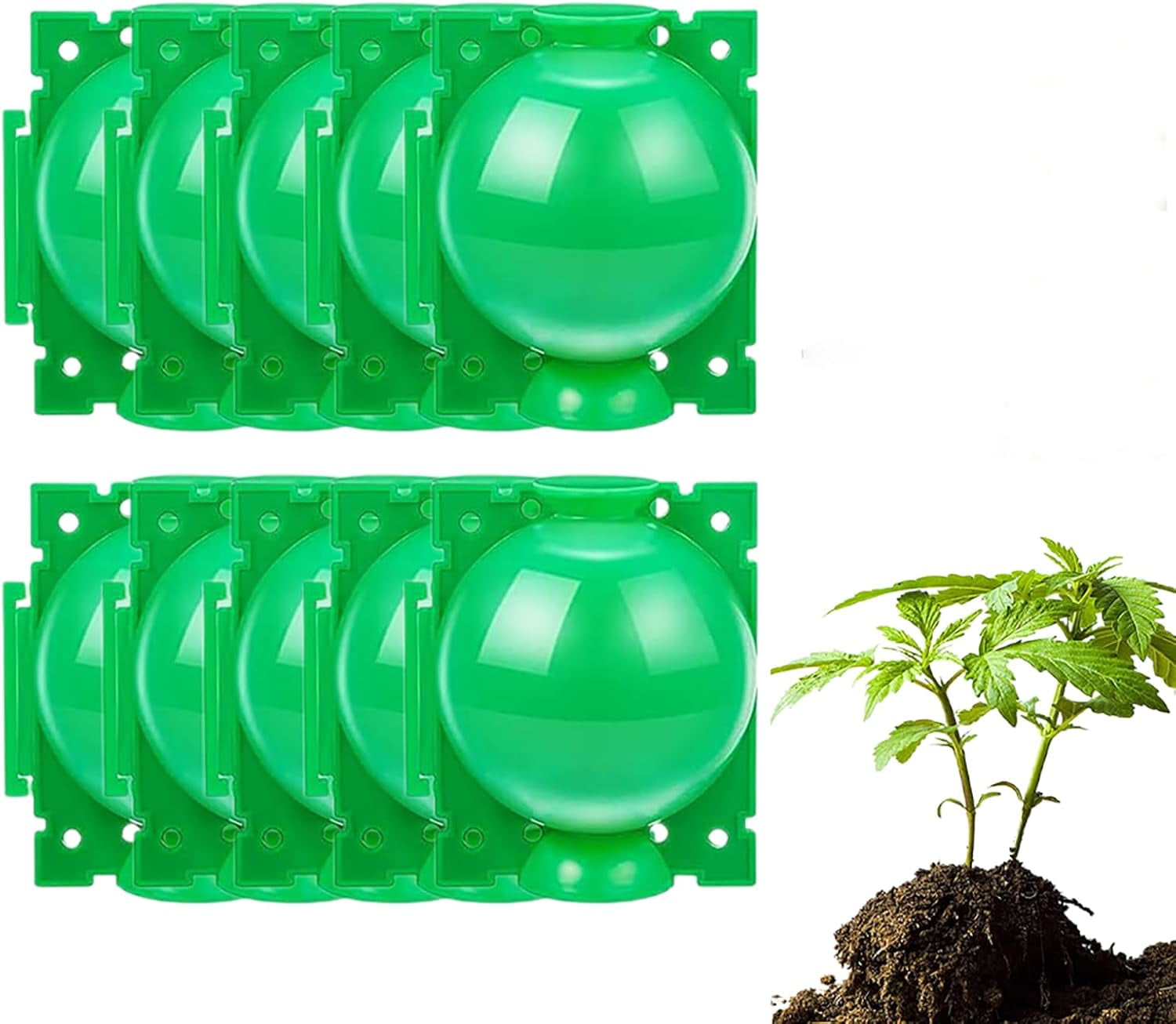 Plant Root Growing Box, Propagation Stations Air Layering Pods Rooting ...