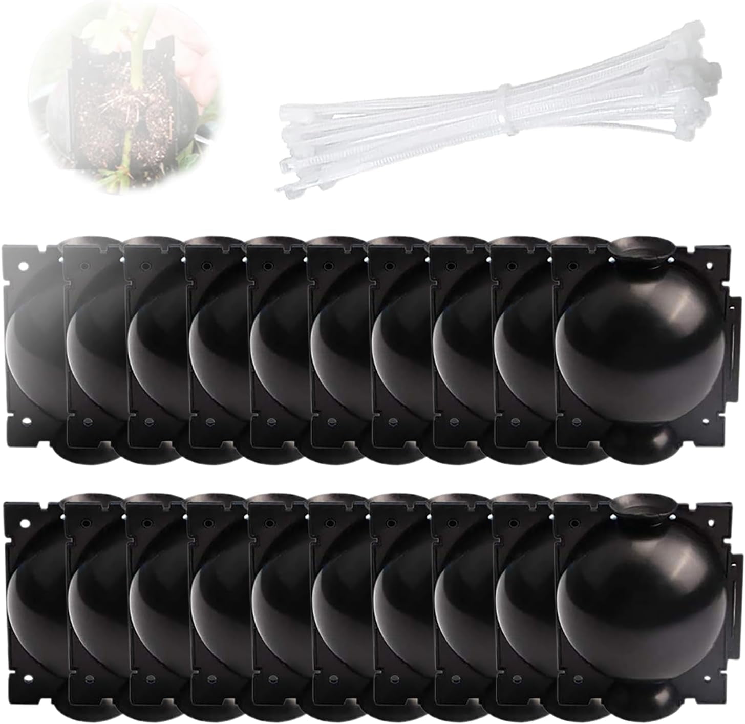 Plant Root Growing Box, Propagation Stations Air Layering Pods Rooting ...