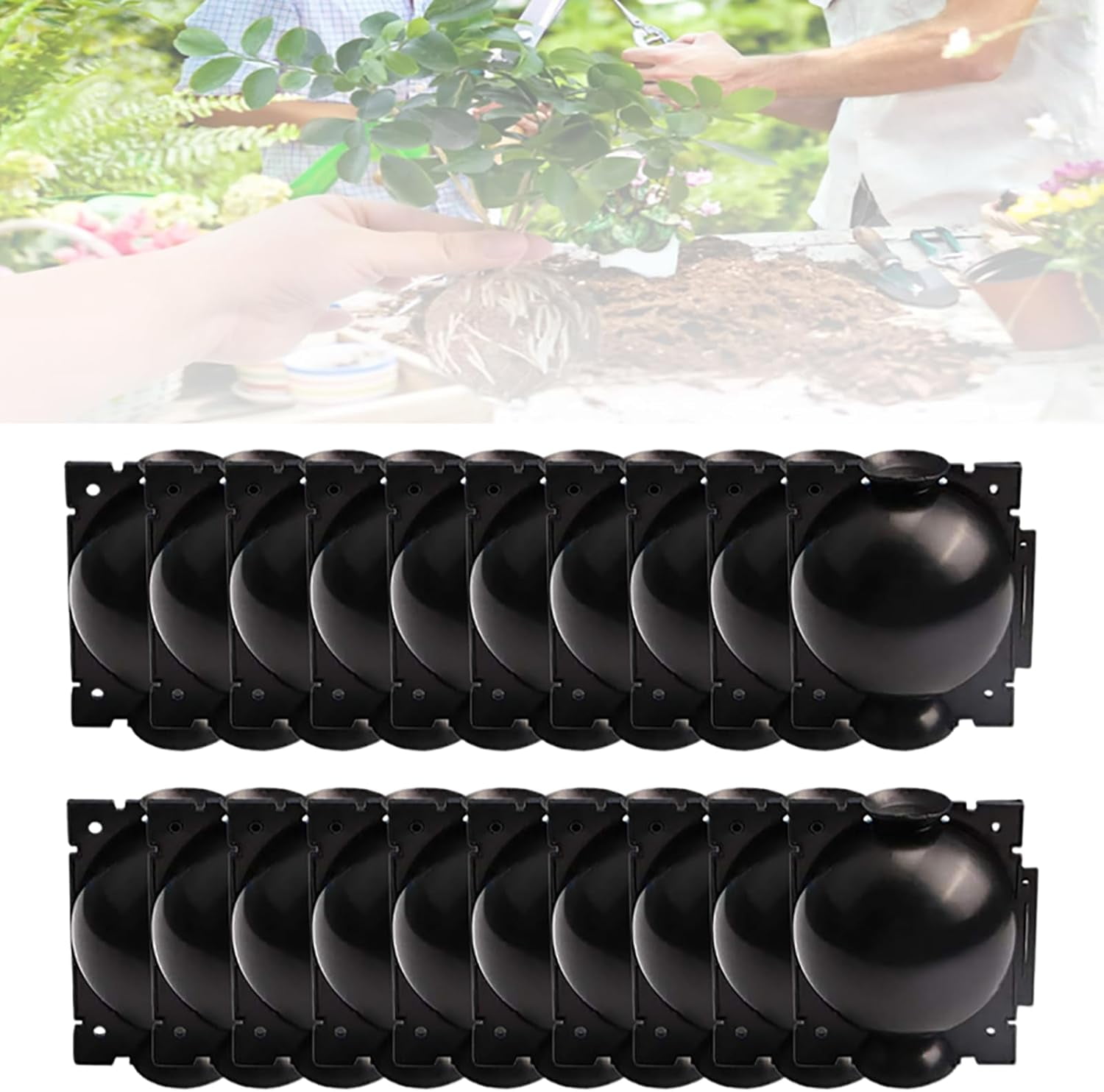 Plant Root Growing Box, Propagation Stations Air Layering Pods Rooting ...