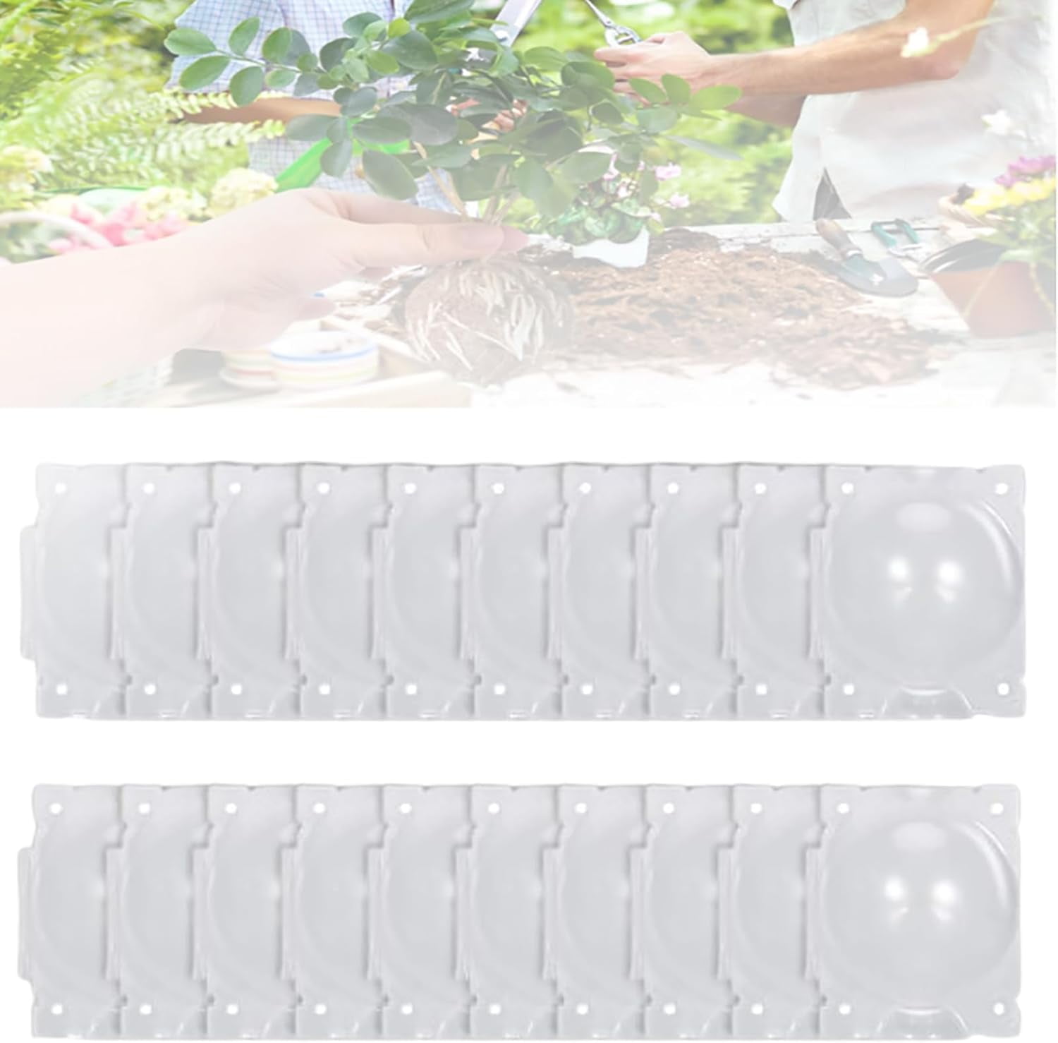 Plant Root Growing Box, Propagation Stations Air Layering Pods Rooting ...